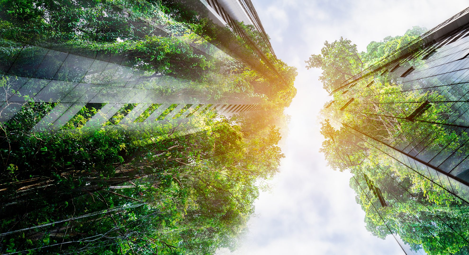 Sustainable Last Mile Logistics for Food Retail | KNAPP