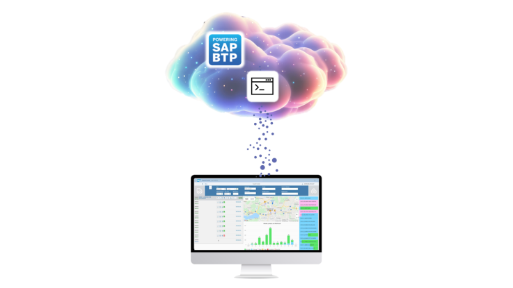 Efficient Extension of SAP Systems with SAP BTP | KNAPP